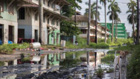 Coco Solo: the paradox of living in poverty on the banks of the Panama ...