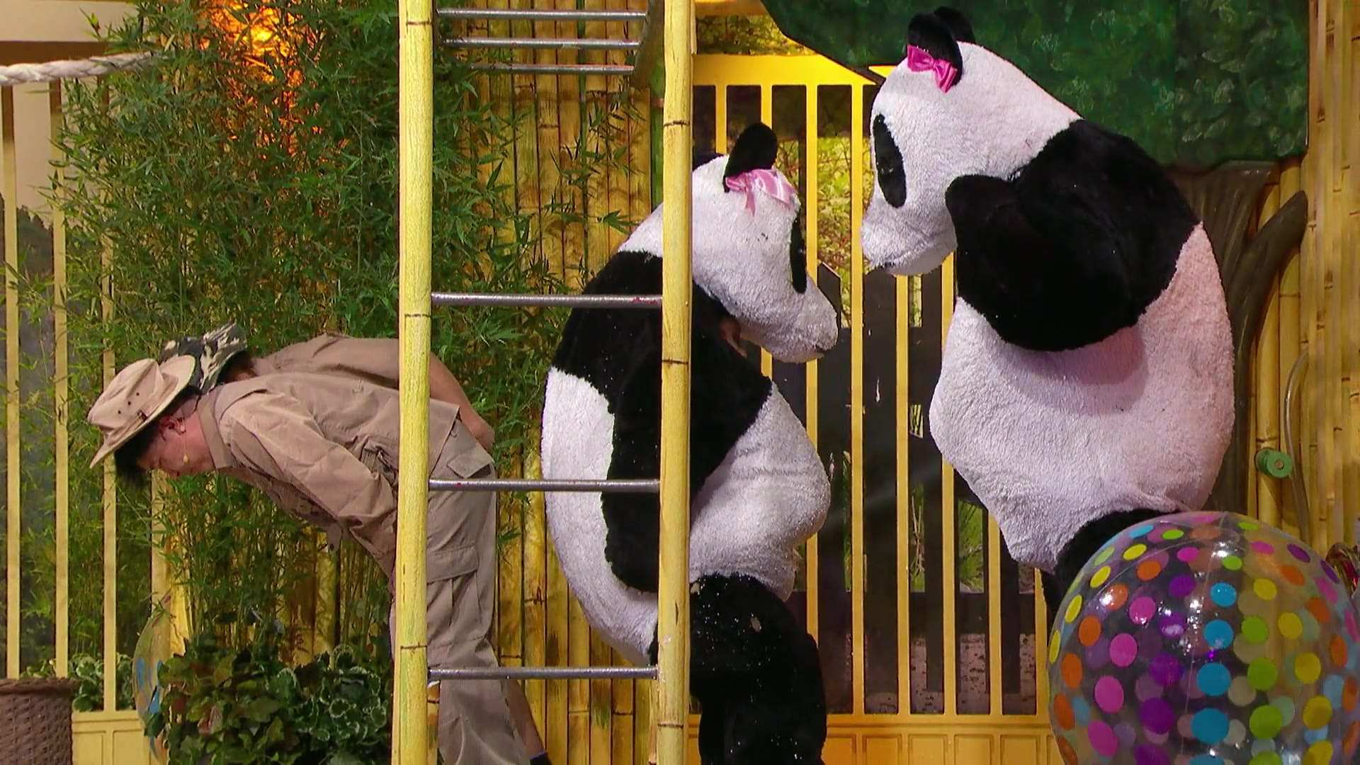 El 'Escenario Inclinado' tuvo al maestro Zhin-Gong y las pandas ganosas ...