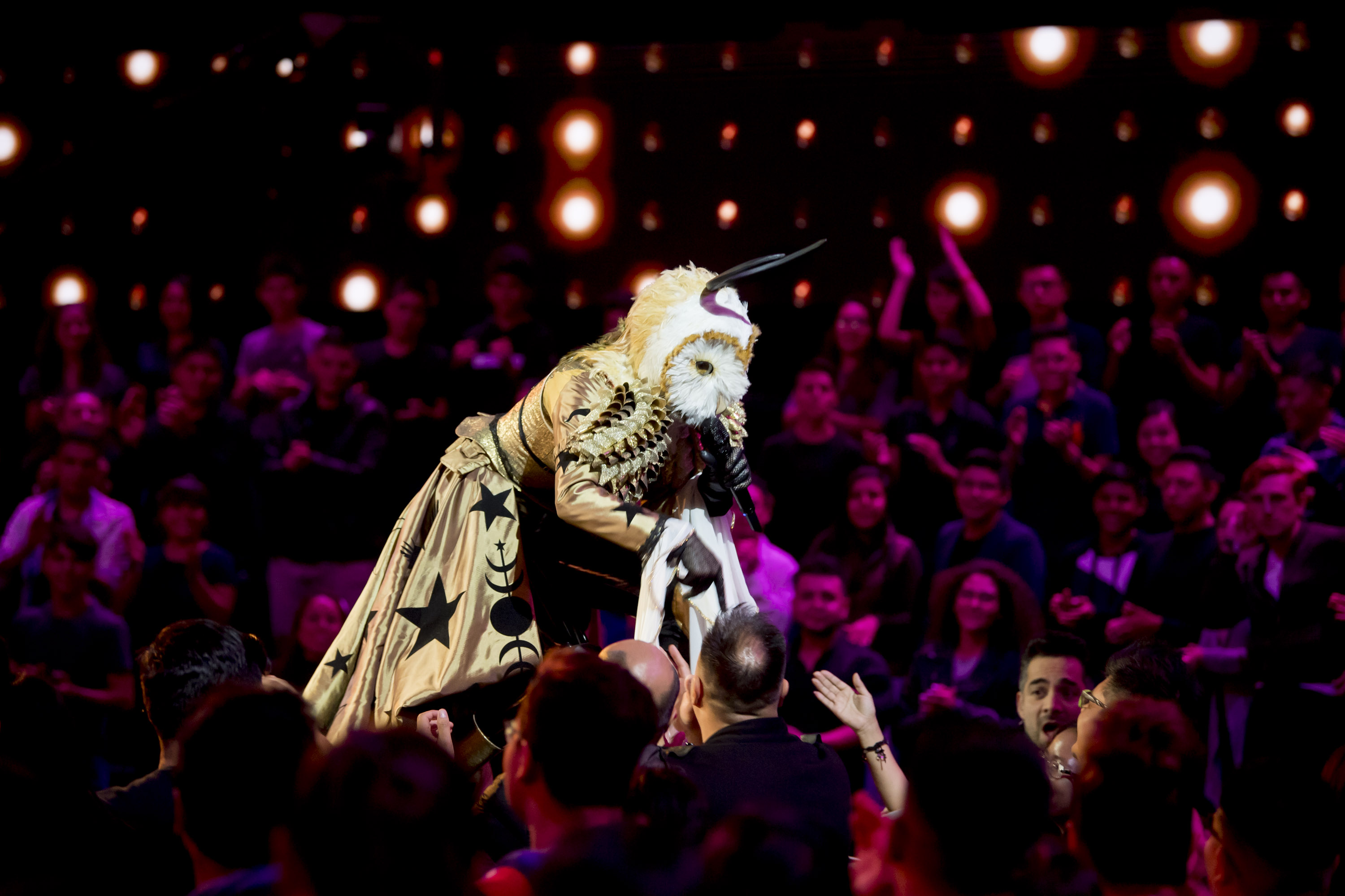 Conoce a las posibles celebridades detrás de ¿Quién es la Máscara ...