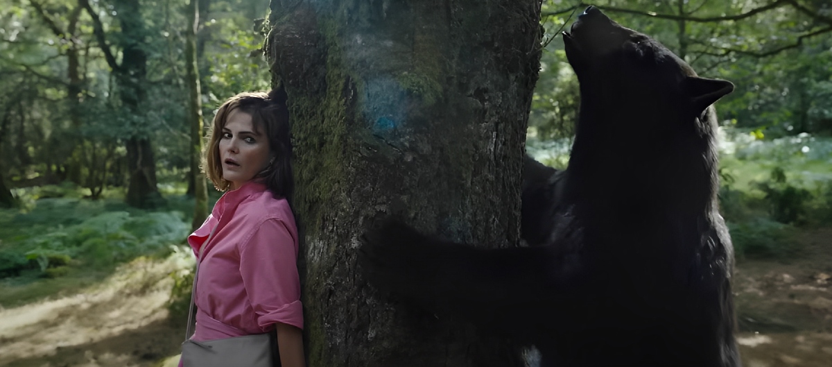 ‘Oso intoxicado’: La crítica celebra a la película en Rotten Tomatoes ...