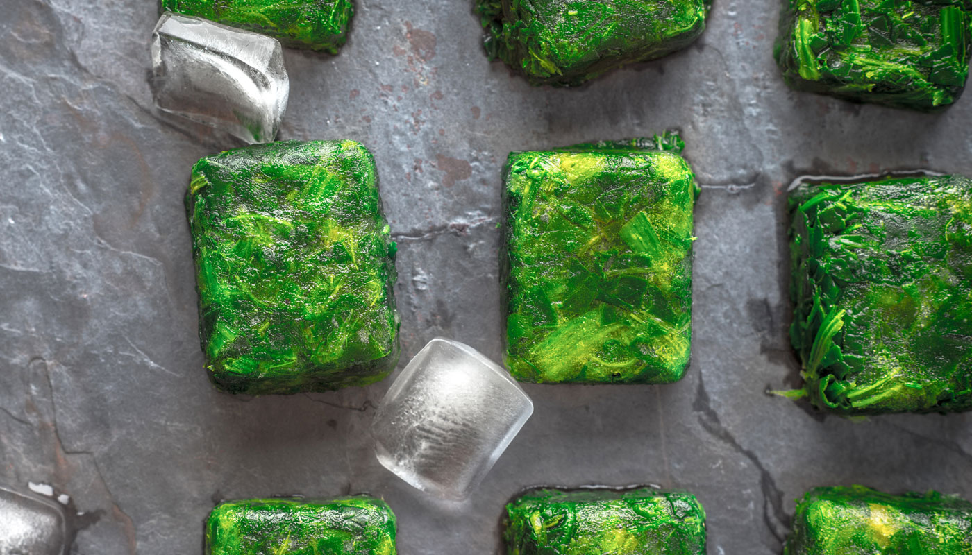 Gelo detox é opção prática e saudável para quem quer emagrecer: aprenda ...