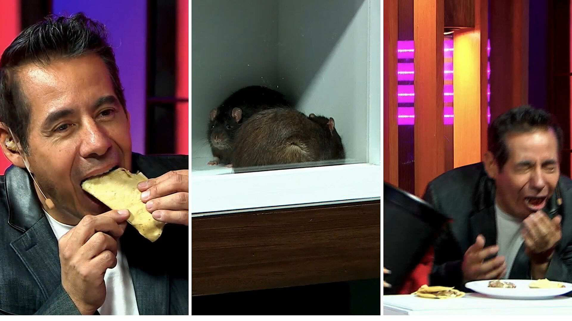 Yordi Rosado se atreve a probar un taco de rata y vomita en plena ...