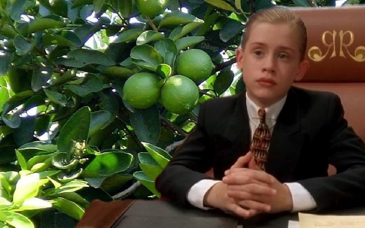 10 divertidos y amargos memes por la subida del precio del limón ...