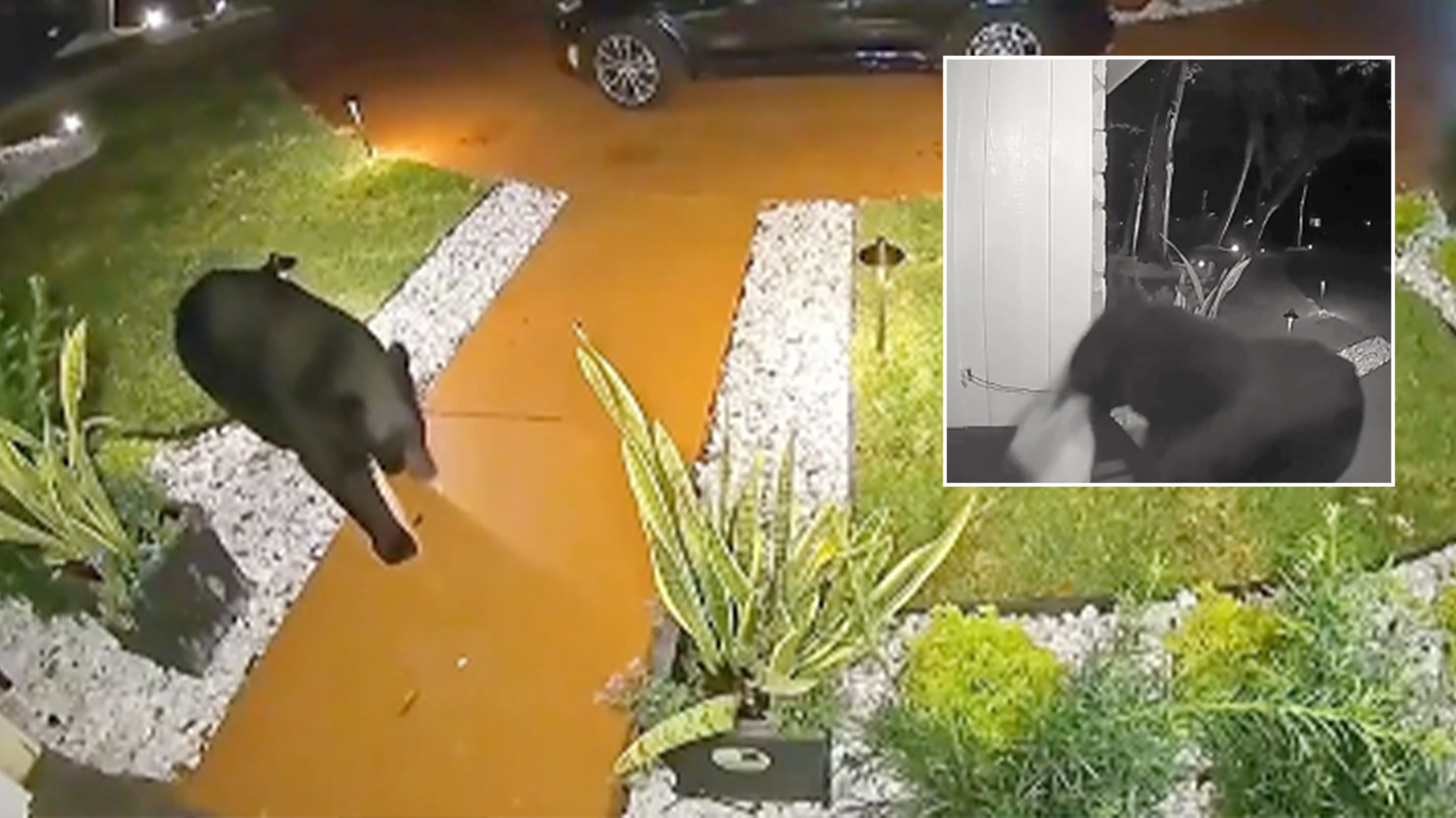 Oso roba el pedido de Uber Eats de una familia hispana en Orlando ...