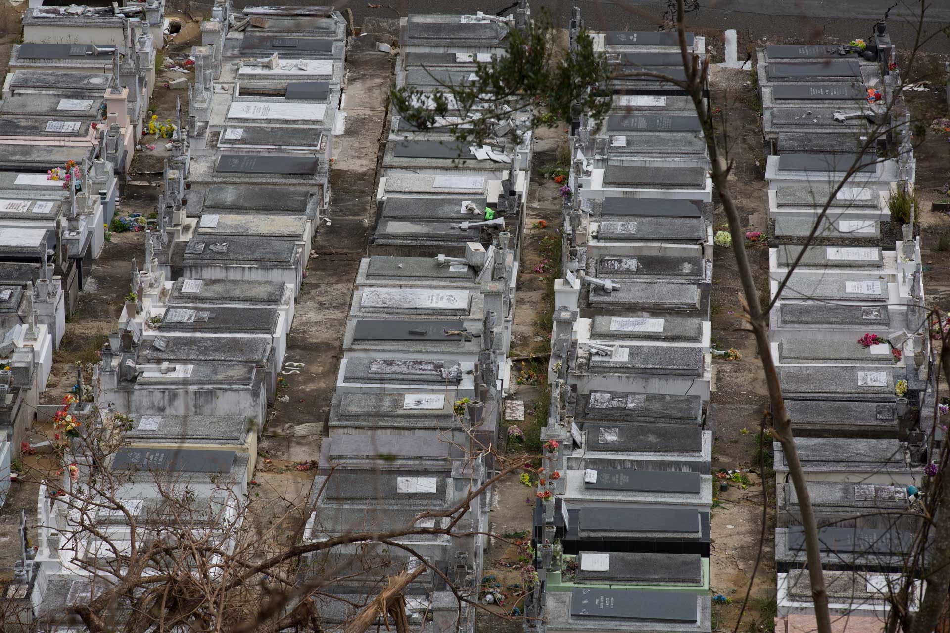 Puerto Rico: the dead don t hide | Univision News | Univision