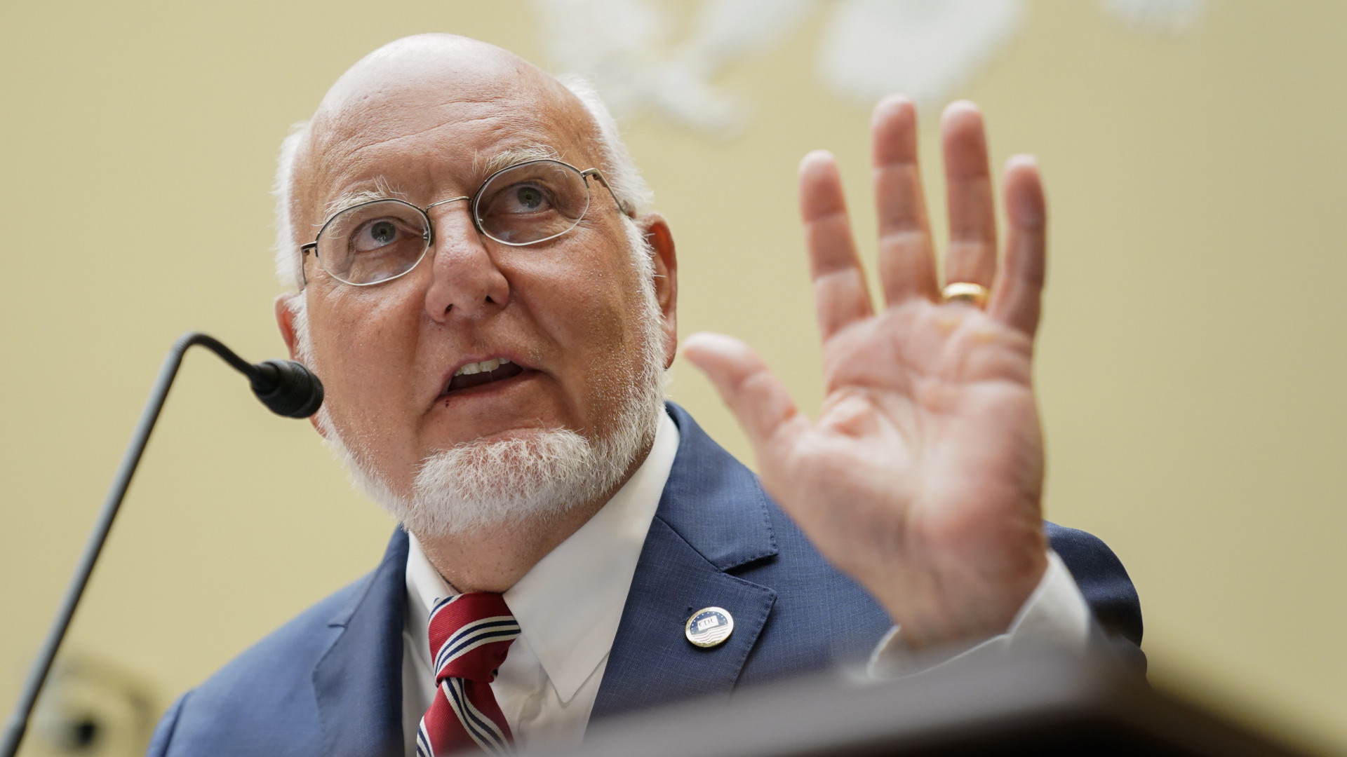 ¿Quién la escribió?: científicos de los CDC no habrían dado la ...