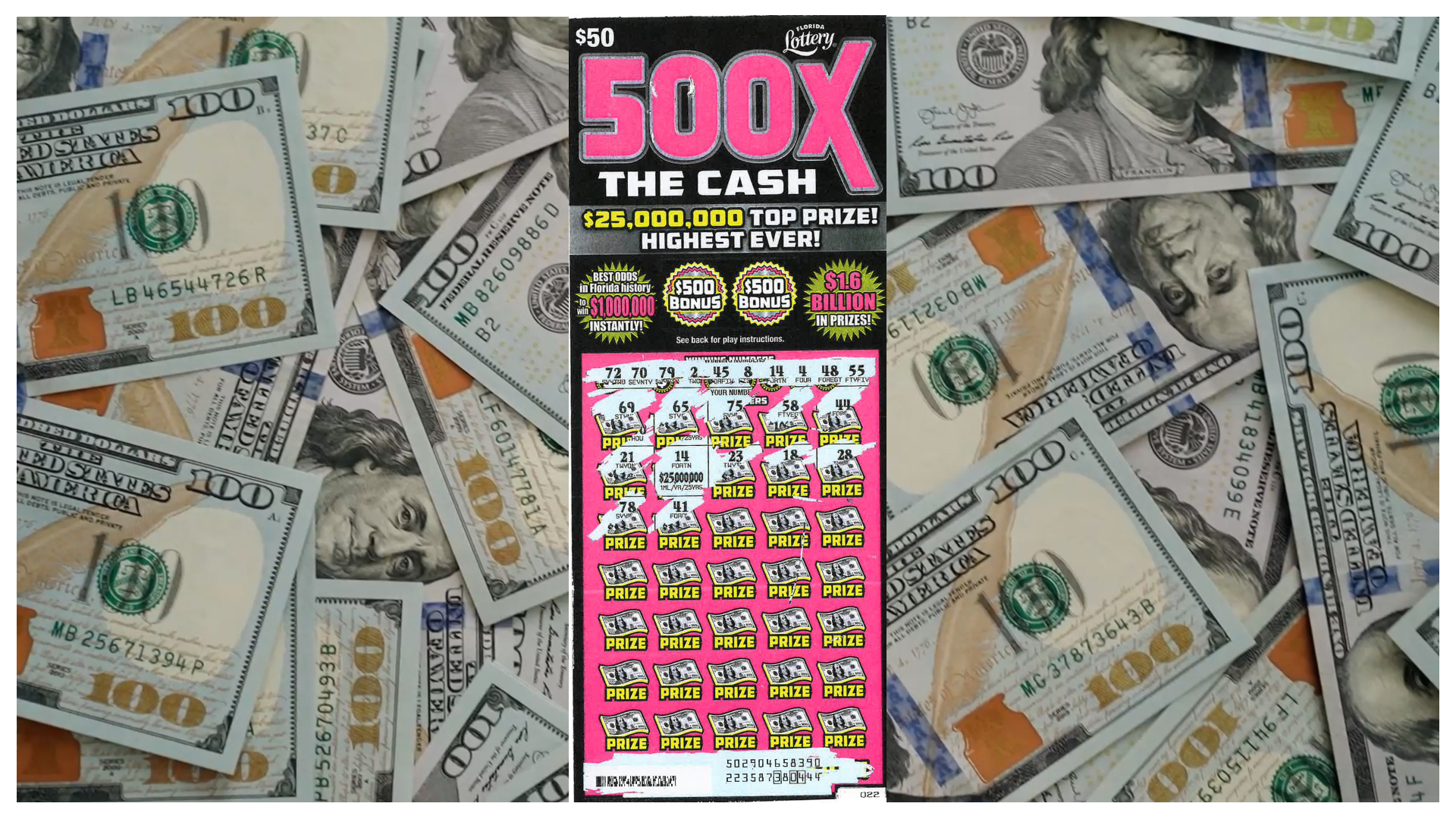 George Demeatriades de Florida gana 25 millones de dólares con el ...