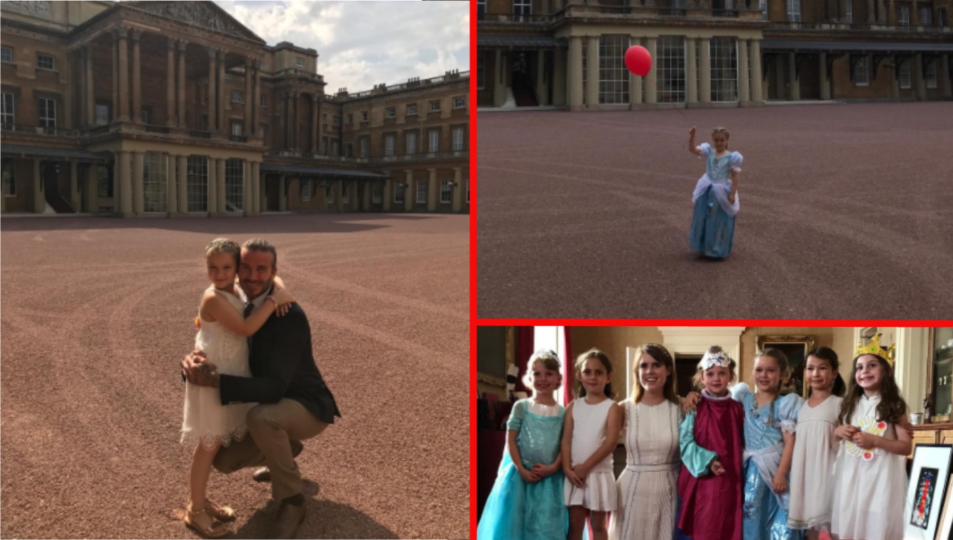 Reina, pero de la controversia Harper Seven, la pequeña hija de David y ...