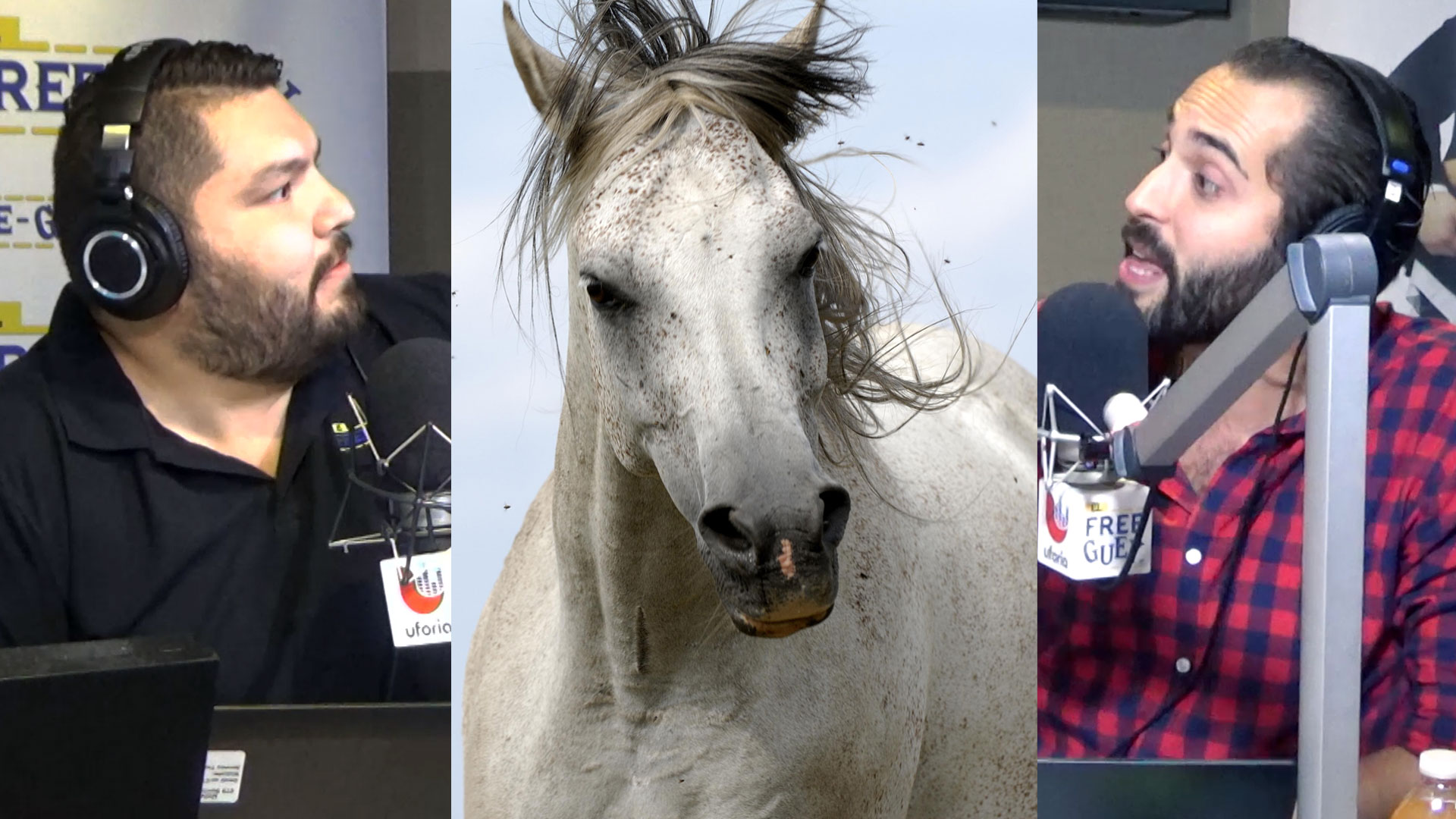 Los Compadres del Free-guey show saben mucho de caballos | Estaciones ...