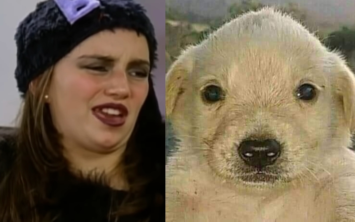 Regina Blandón: El meme de Bibi y otros momentos divertidos en Twitter ...