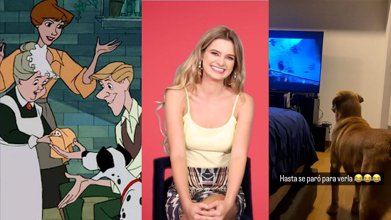 Talitha Becker ve '101 Dálmatas' con su perro y le da ternura su ...