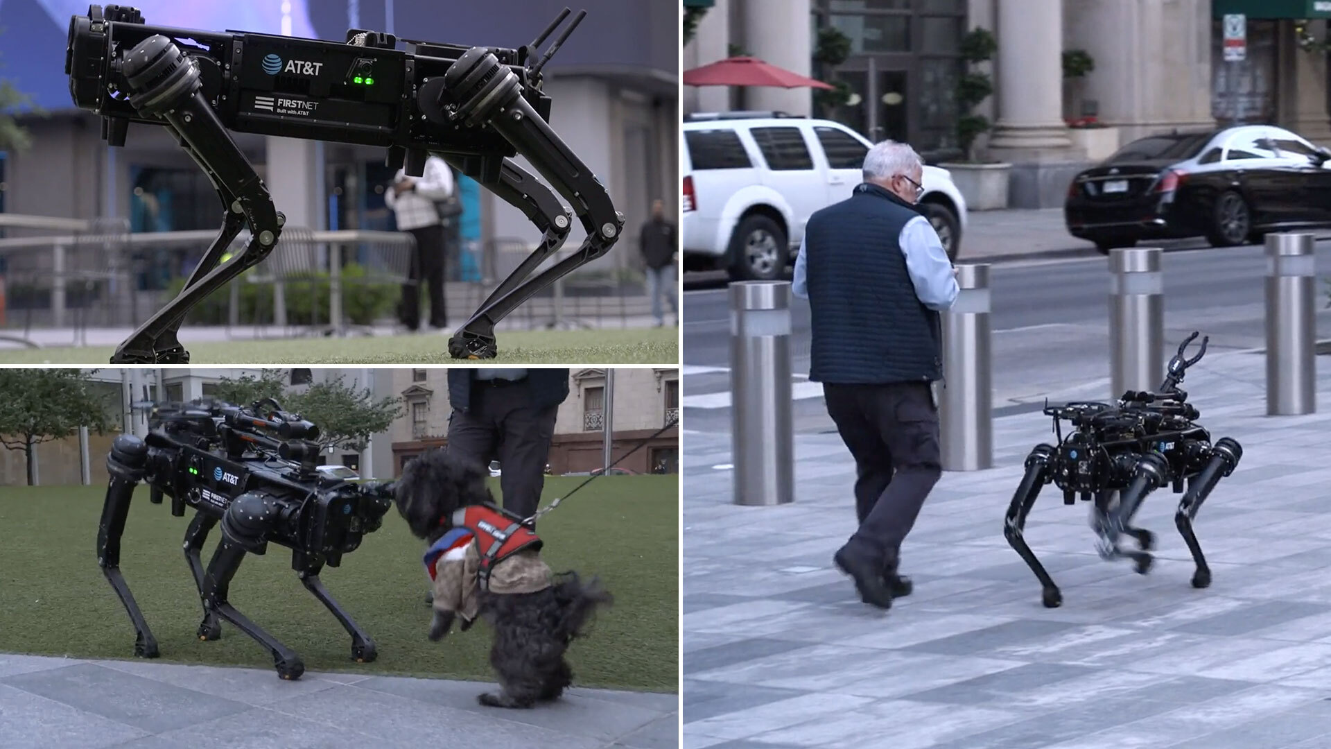 Un perro robot de AT&T sorprende a todos en el centro de Dallas | Video ...
