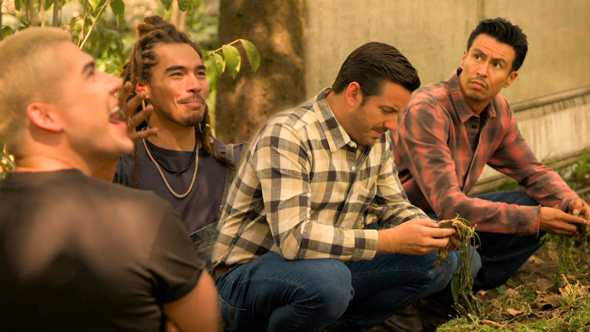 Brayan destruye el cultivo de la hacienda | Shows Vivir de Amor | Las ...