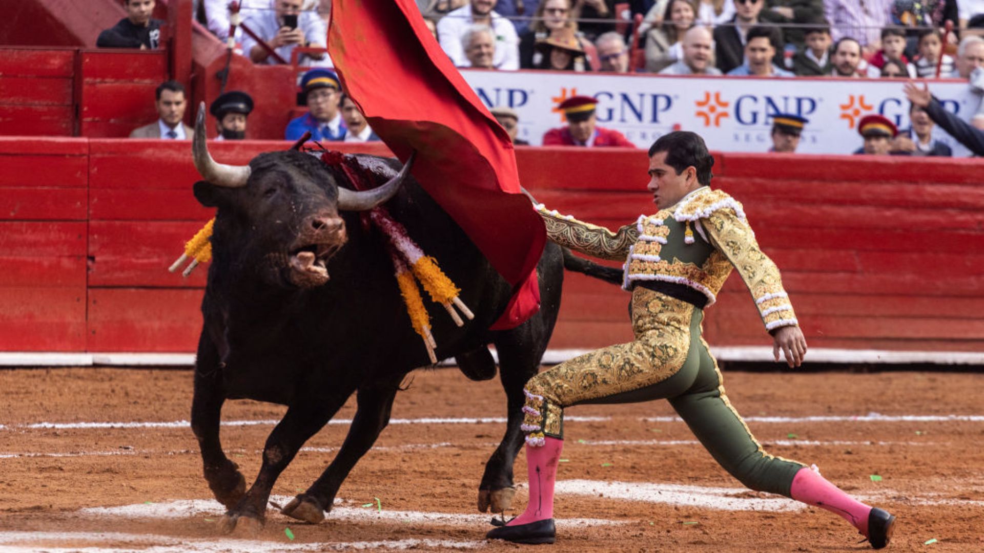 Una jueza suspende nuevamente las corridas de Toros en México | Shows ...