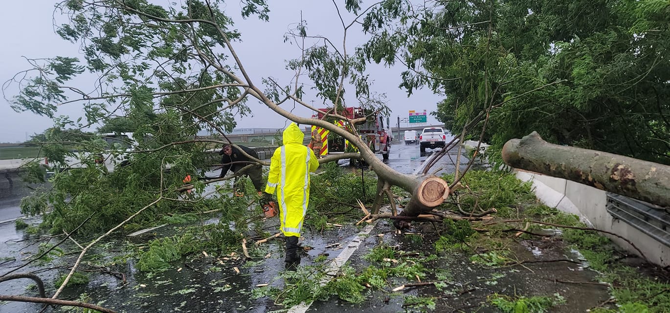 Huracán Fiona en Puerto Rico ha causado derrumbes y caída de árboles ...