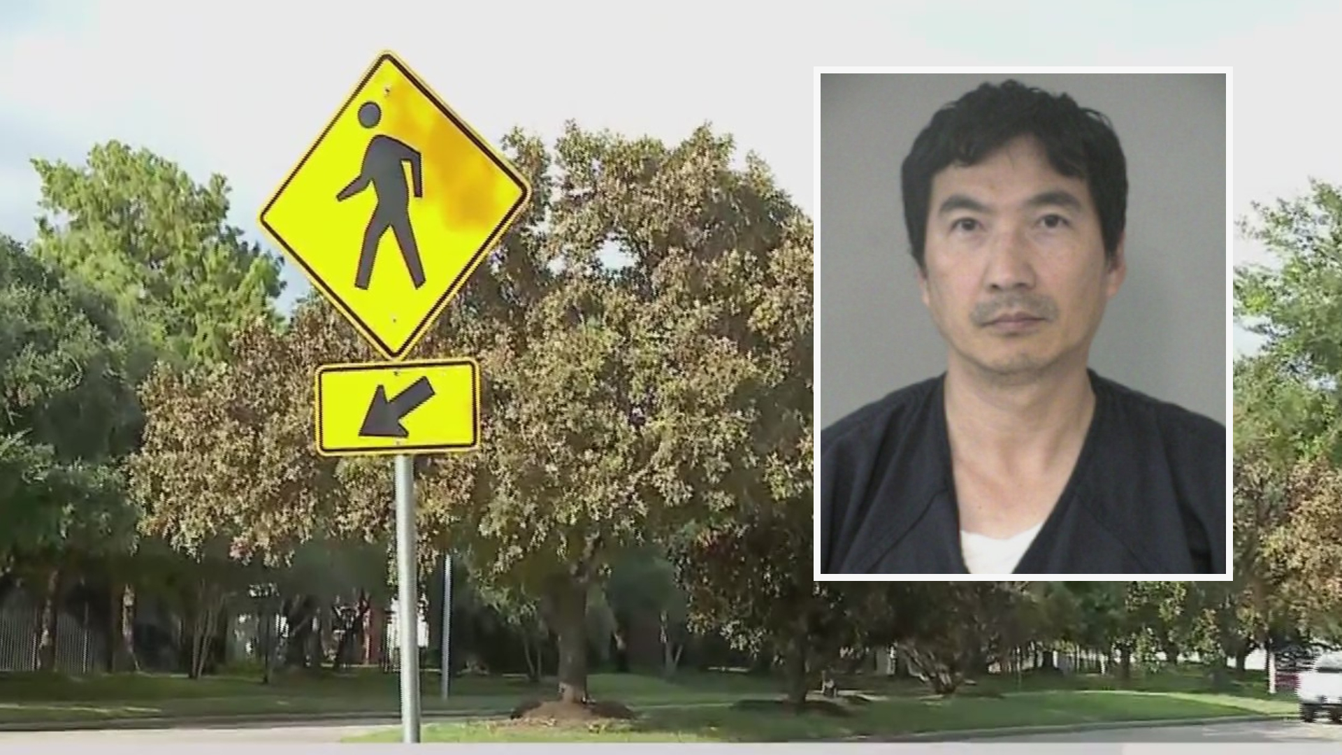 Ley Lisa Torry Smith: Las consecuencias para los conductores que ...