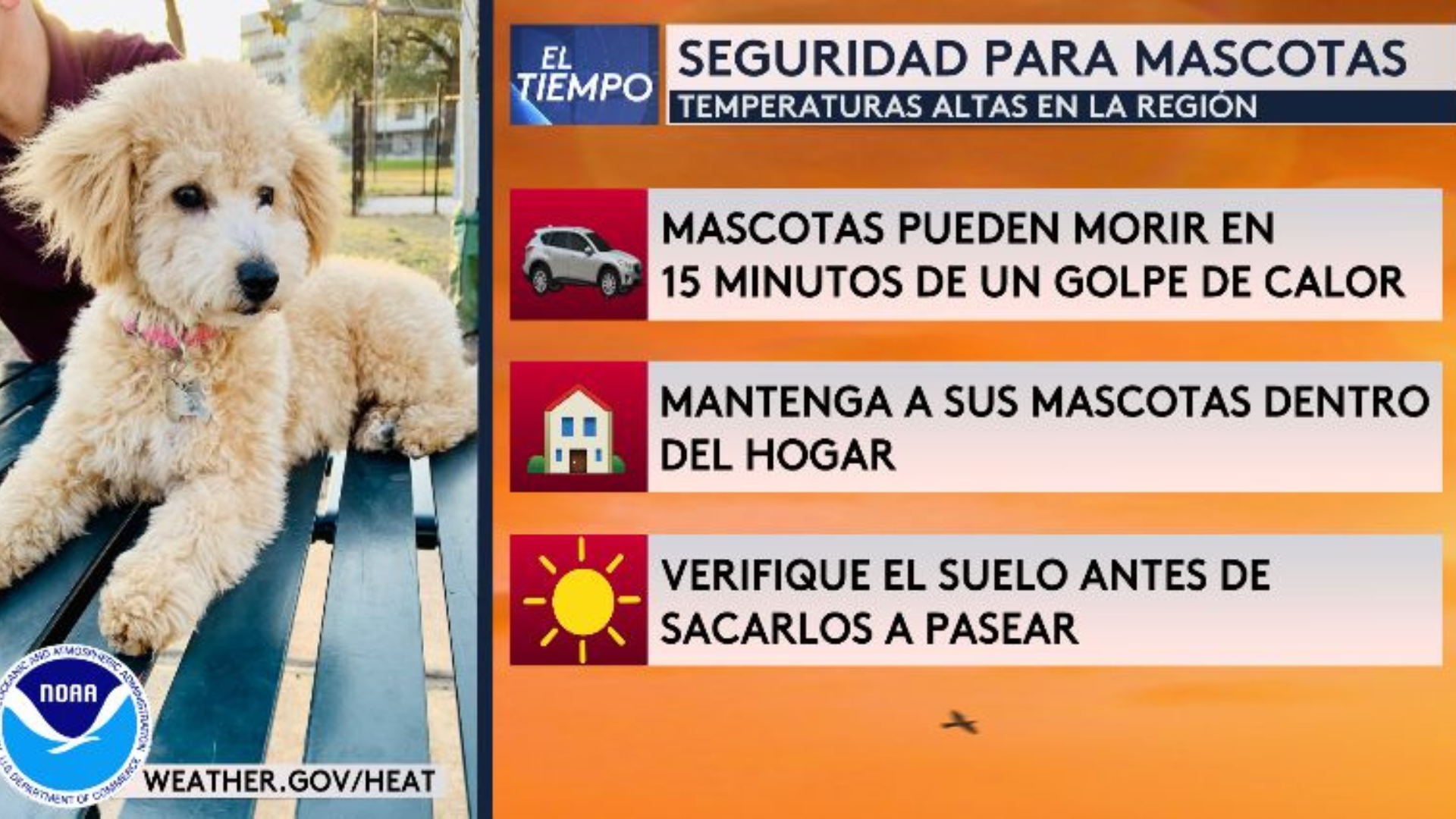 Esta tarde se espera una alta sensación real de calor en San Antonio ...