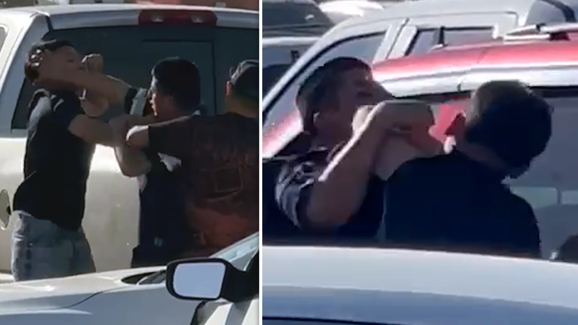 En video: Golpes y caos en La Pulga de Seagoville en el norte de Texas ...