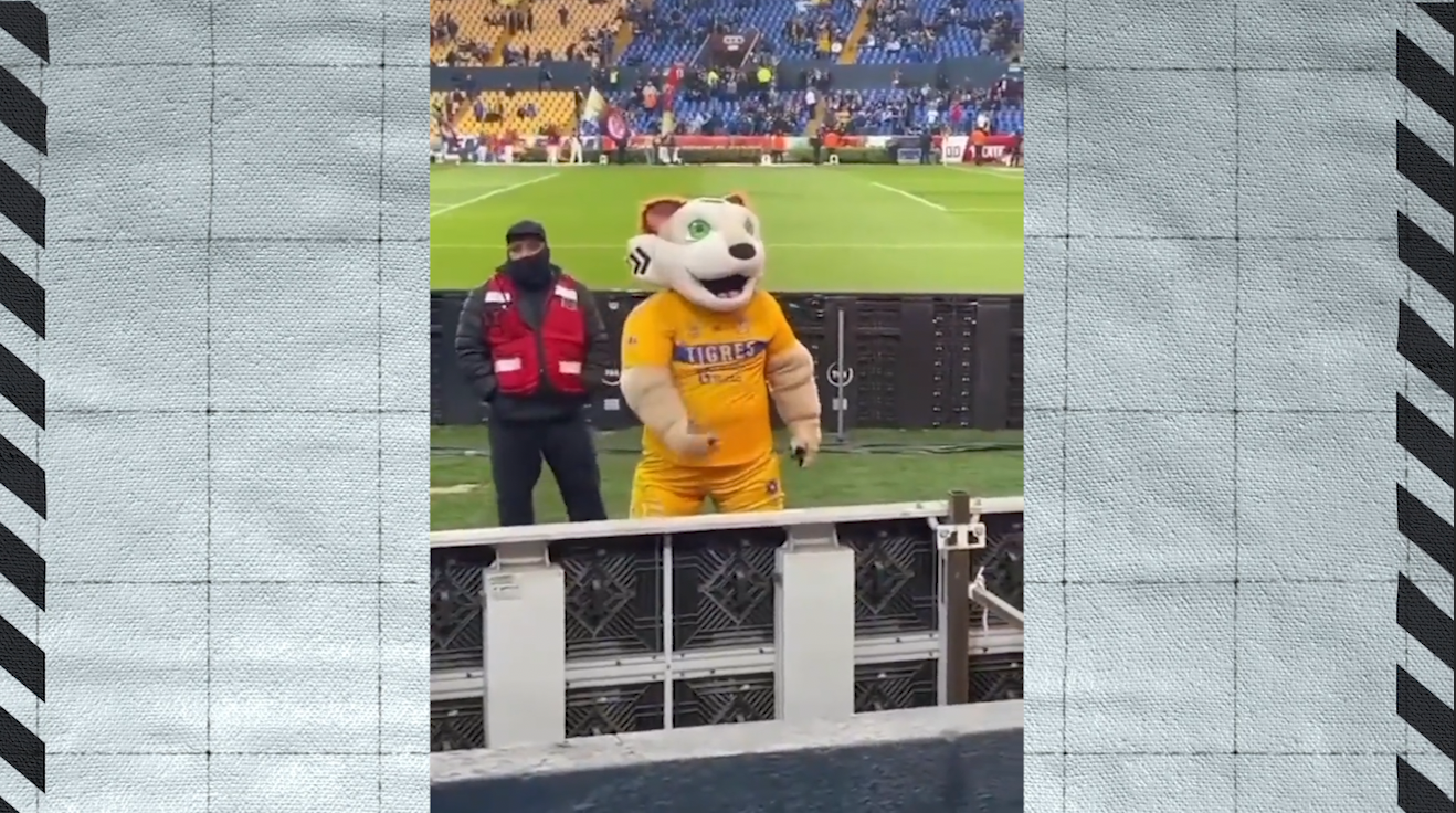 Tigres tomará medidas por el gesto obsceno de su botarga a fans de ...