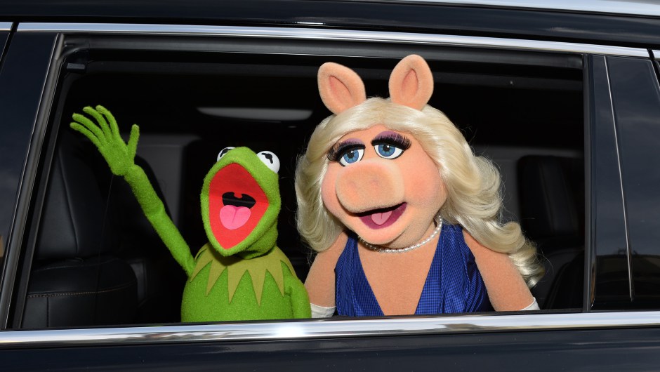 Miss Piggy y la Rana René se separan | Noticias Univision | Univision