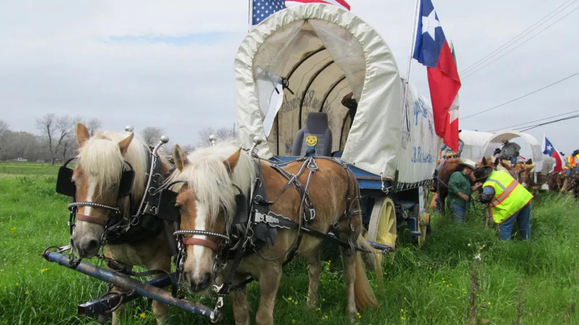 Inicia la cabalgata en de los vaqueros en el Rodeo Houston 2023 y así ...