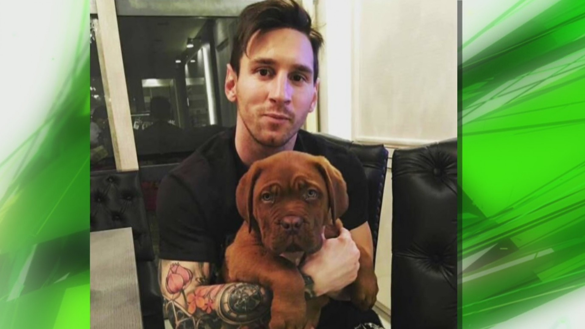 Igual de gigante a su talento, así ha crecido con los años la mascota ...