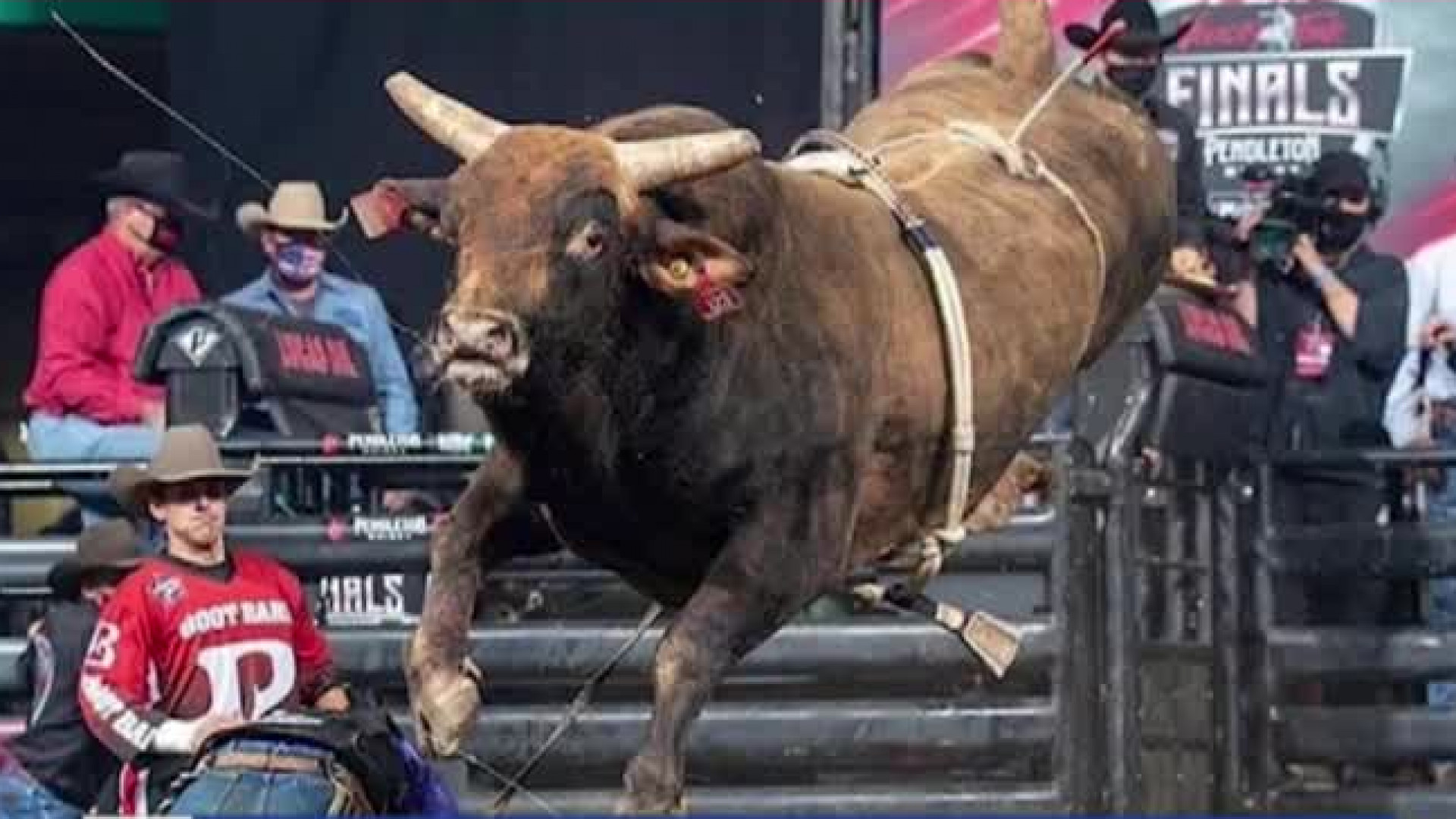 Cuándo y dónde será el tradicional rodeo de toros de Fort Worth este ...