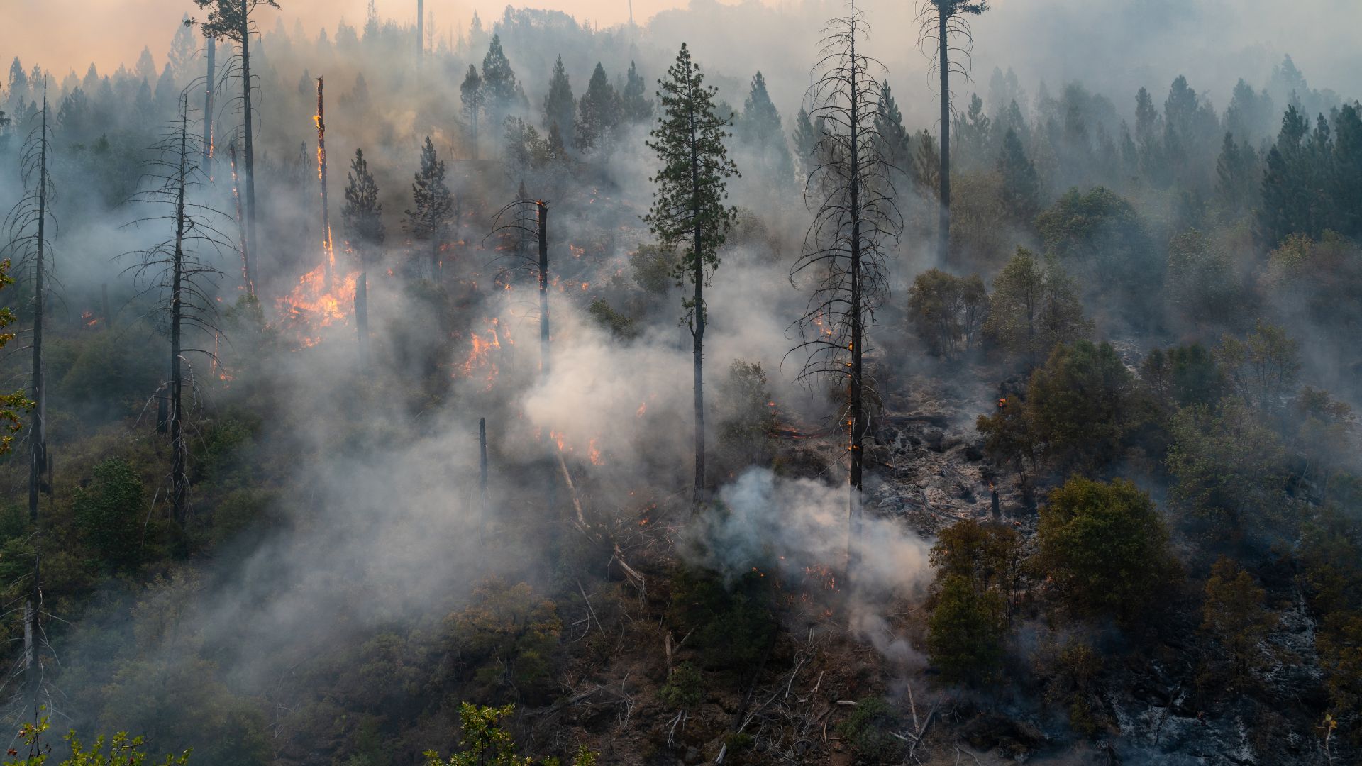 Bandera roja por condiciones críticas para incendios y humo para el ...