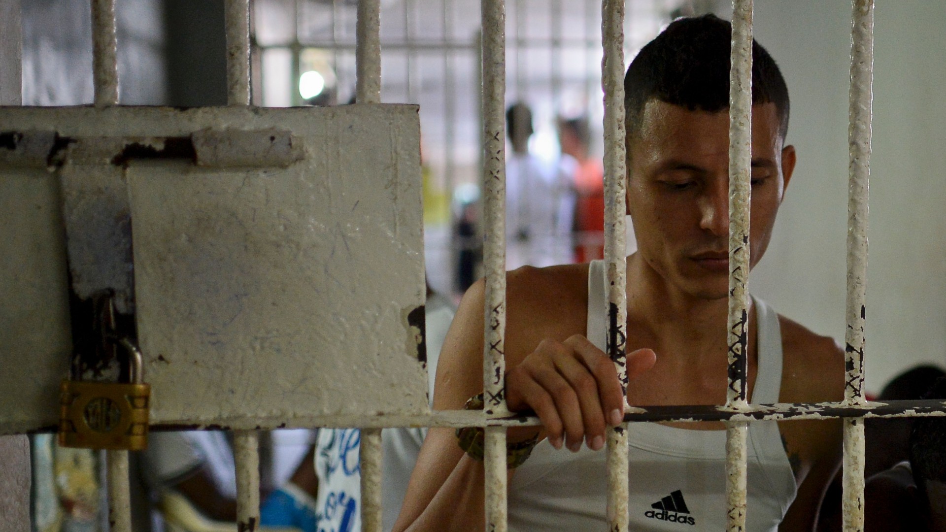 Prisiones mexicanas, escuelas del crimen | Shows Noticiero Univision ...