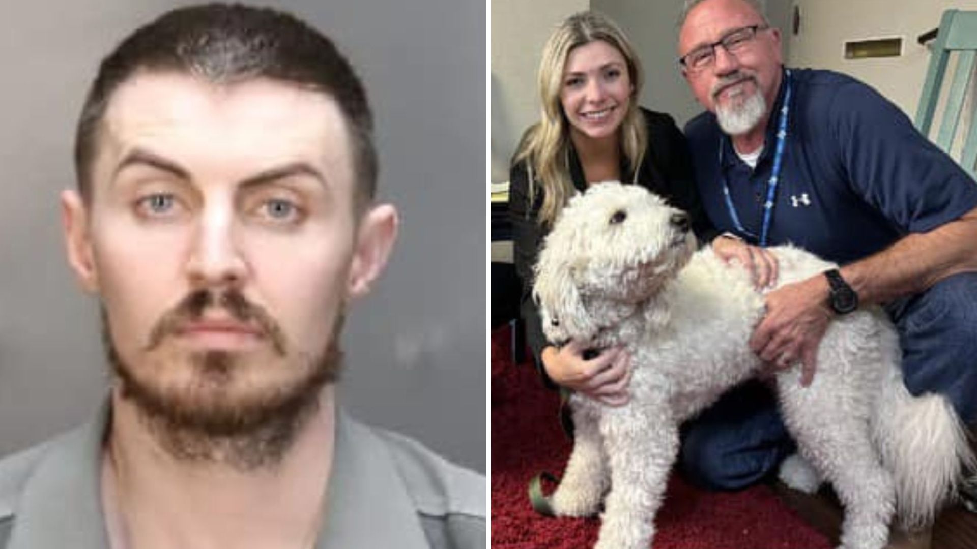 Una mascota logró que agentes resolvieran el asesinato de Mandy Rose ...