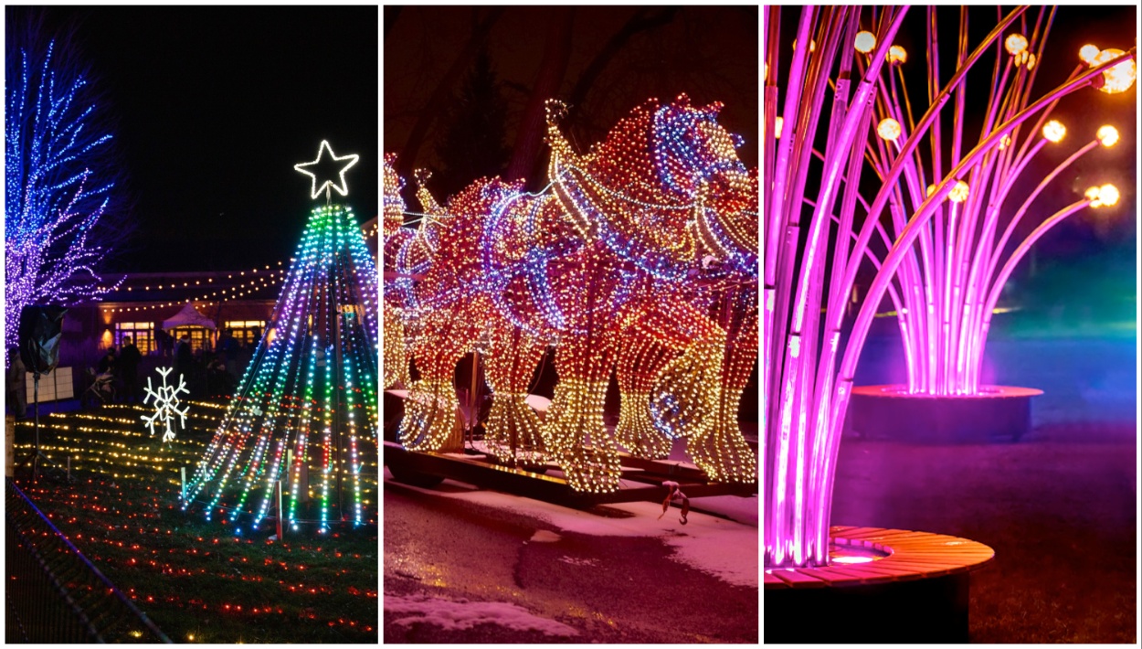 Fiestas de navidad en Chicago: Los 12 alumbrados navideños más bonitos ...