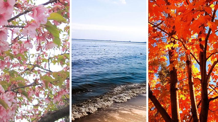 Qué es la primavera meteorológica en California y en qué es distinta a ...