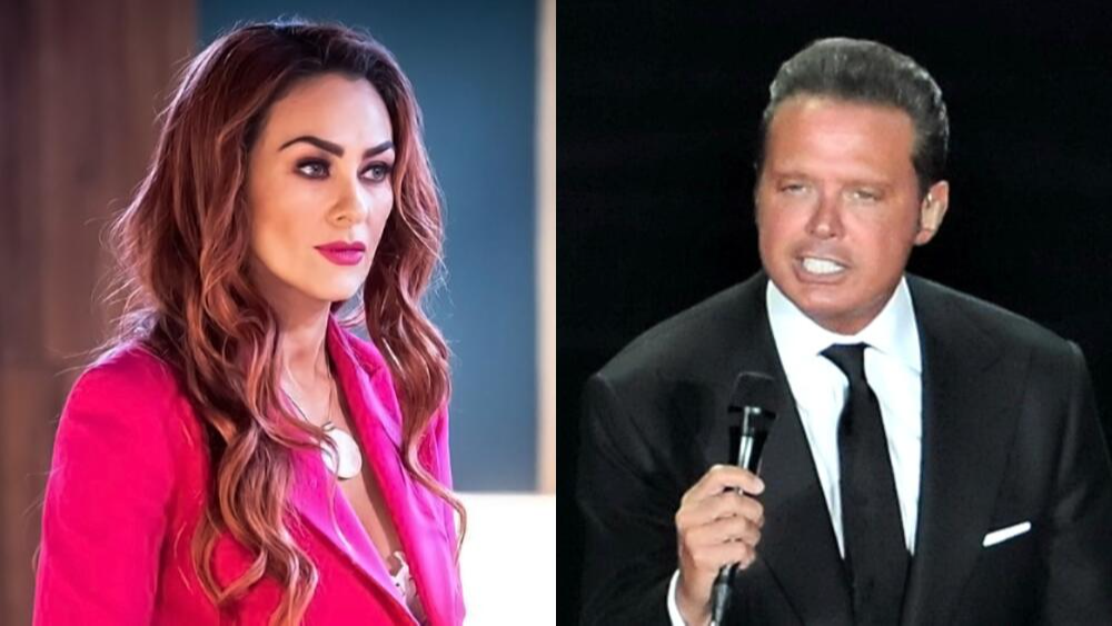 Aracely Arámbula explota contra Luis Miguel por no ver a sus hijos: "Me cae muy mal" | Univision ...