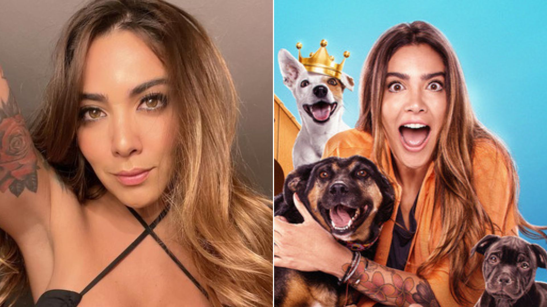 ‘La loca de los perros’ ViX: Erika Fernández, actriz, conductora e ...