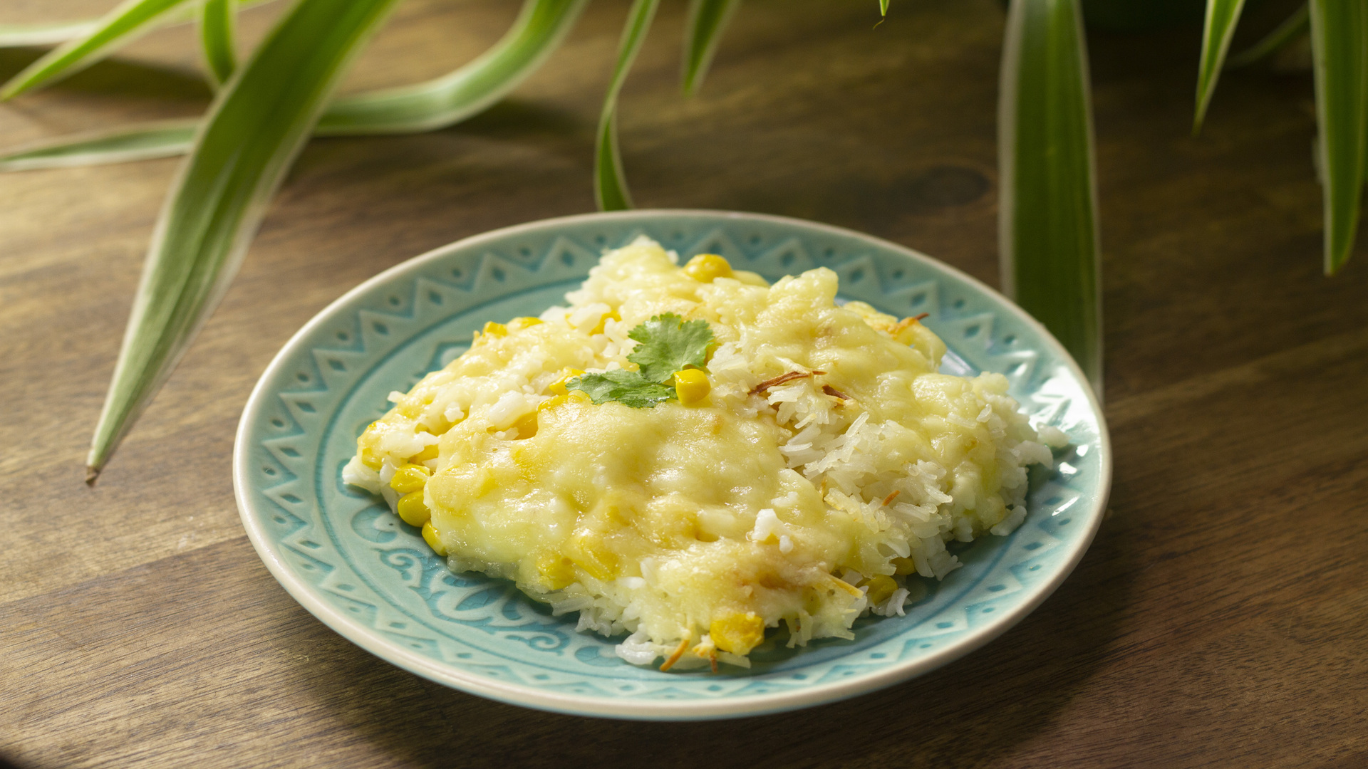 Arroz con queso y elote | Delicioso | Univision