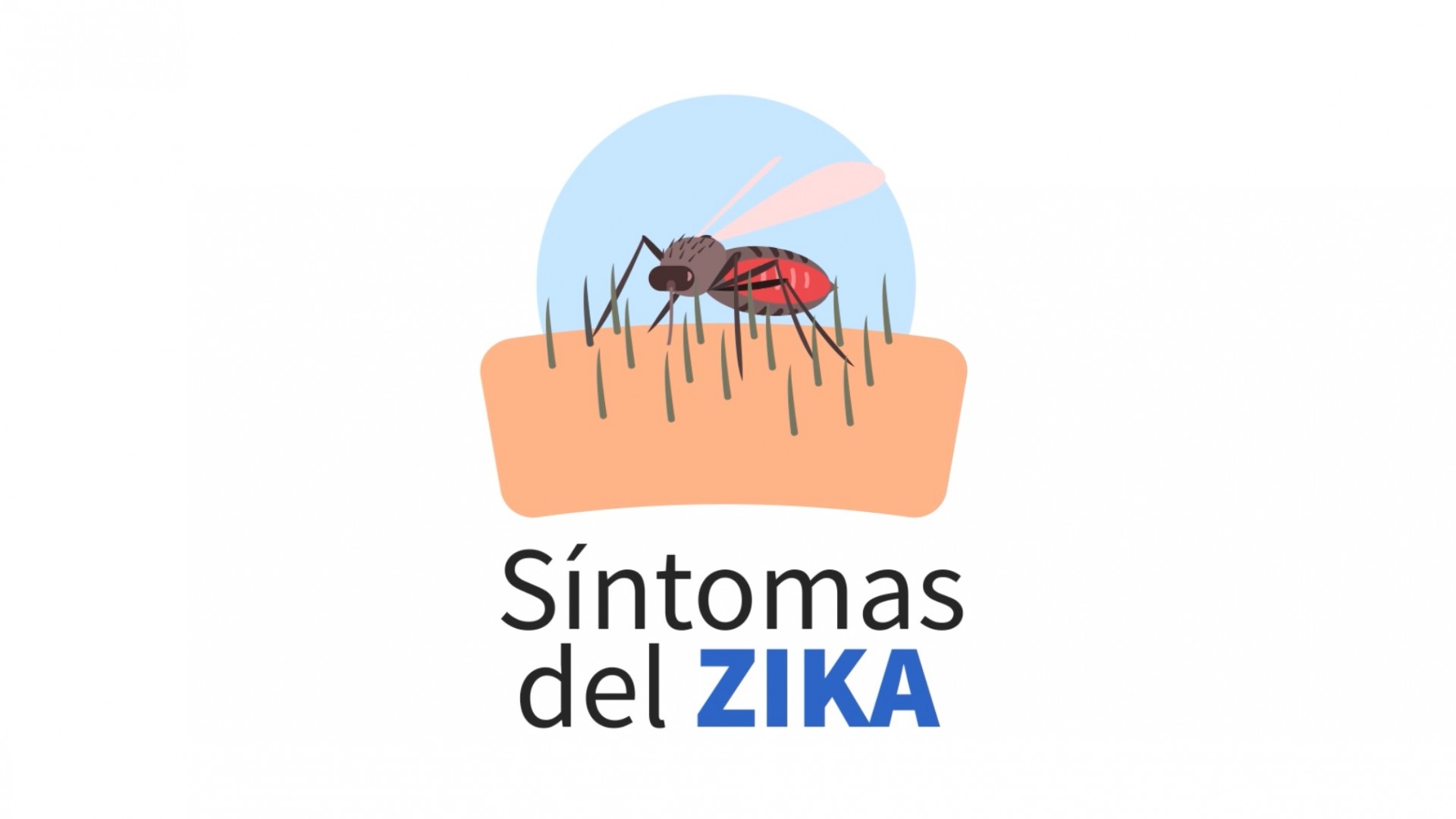 ¿Cuáles son los síntomas del Zika? | Noticias Univision | Univision ¿Cuáles son los síntomas del Zika? | Noticias Univision | Univision