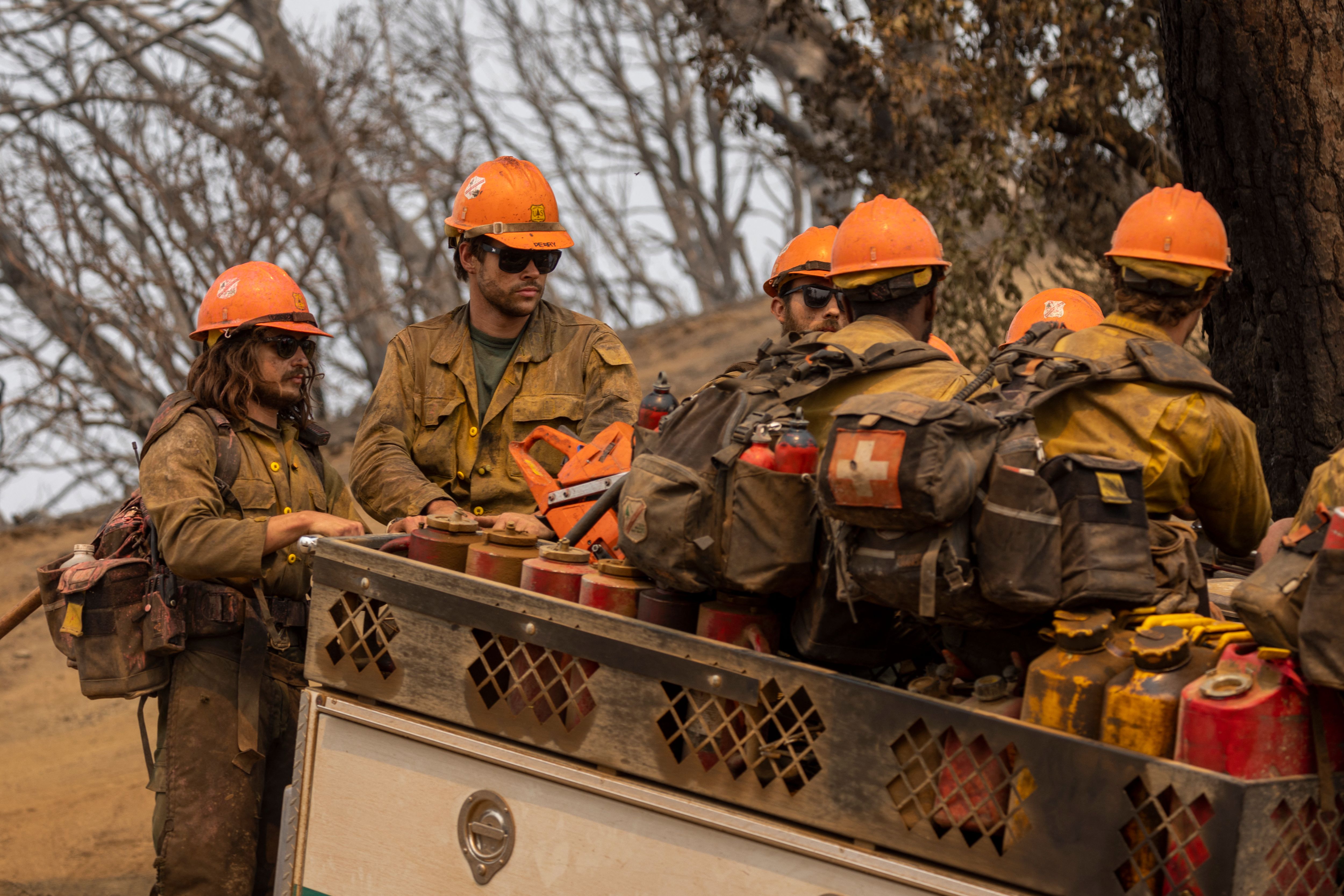 Estado de emergencia: el incendio forestal Oak Fire destruye 41 casas ...