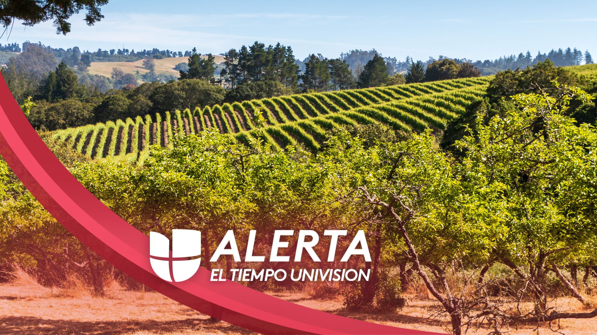 Se extiende la Advertencia por calor por temperaturas alcanzando los ...